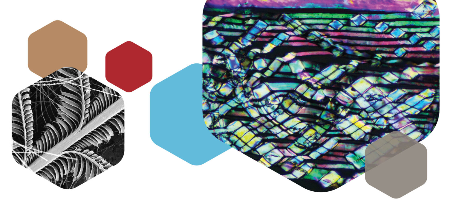 Foreign Material Identification - Agriculture and Food Laboratory